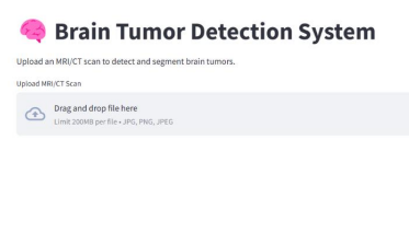 Mazhar Sial | AI/ML Engineer